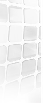 CLUSTER TALK | (주)디에스인터내셔널