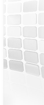 CLUSTER TALK | (주)디에스인터내셔널